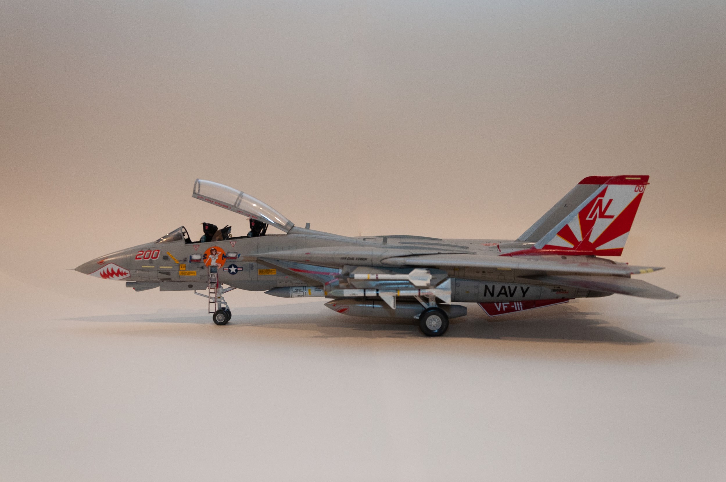 Grumman F-14A Tomcat - adams models