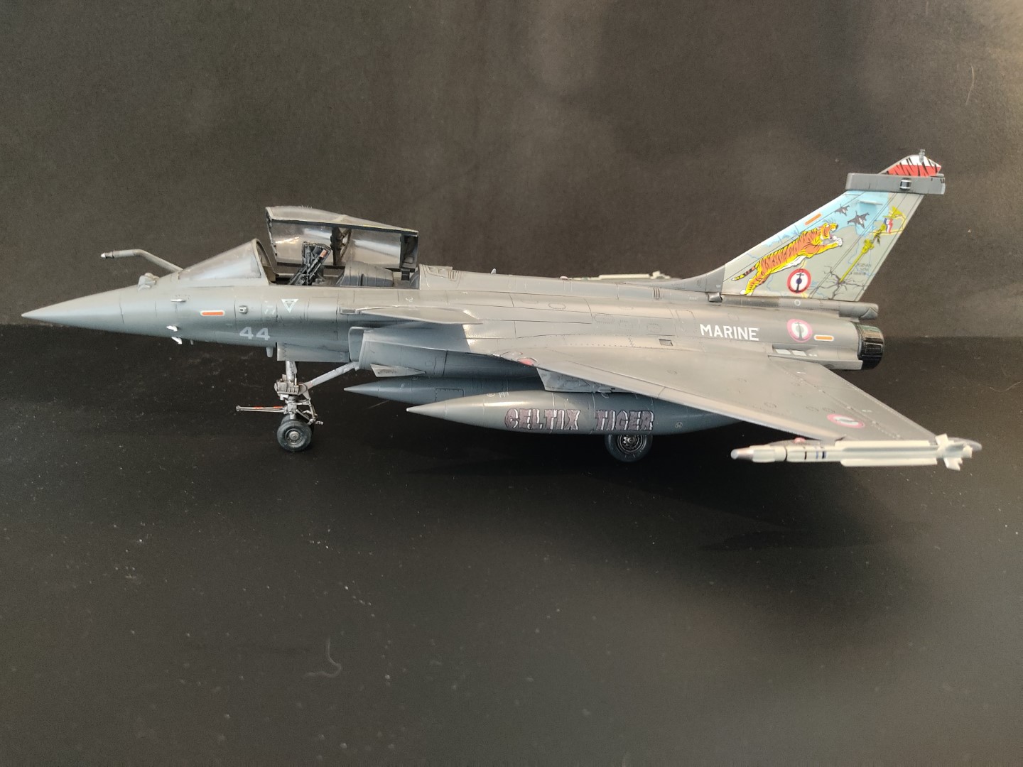 Dassault Rafale M - adams models